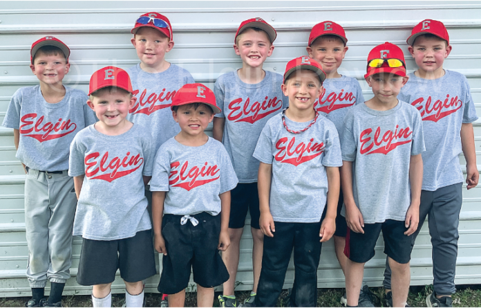 Elgin's Summer Ball Teams - The Elgin Review Online Edition